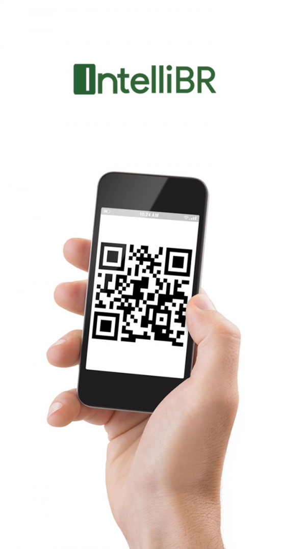 IntelliBR – Sistemas de Gestão